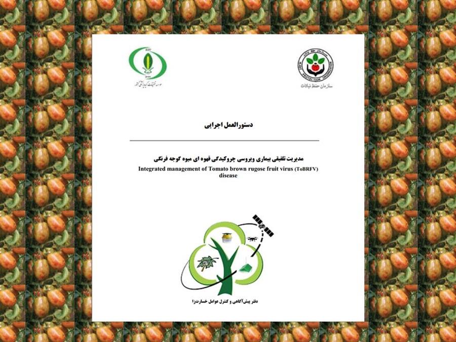 تهیه و تدوین دستورالعمل اجرایی مدیریت تلفیقی بیماری ویروسی چروكیدگی ...